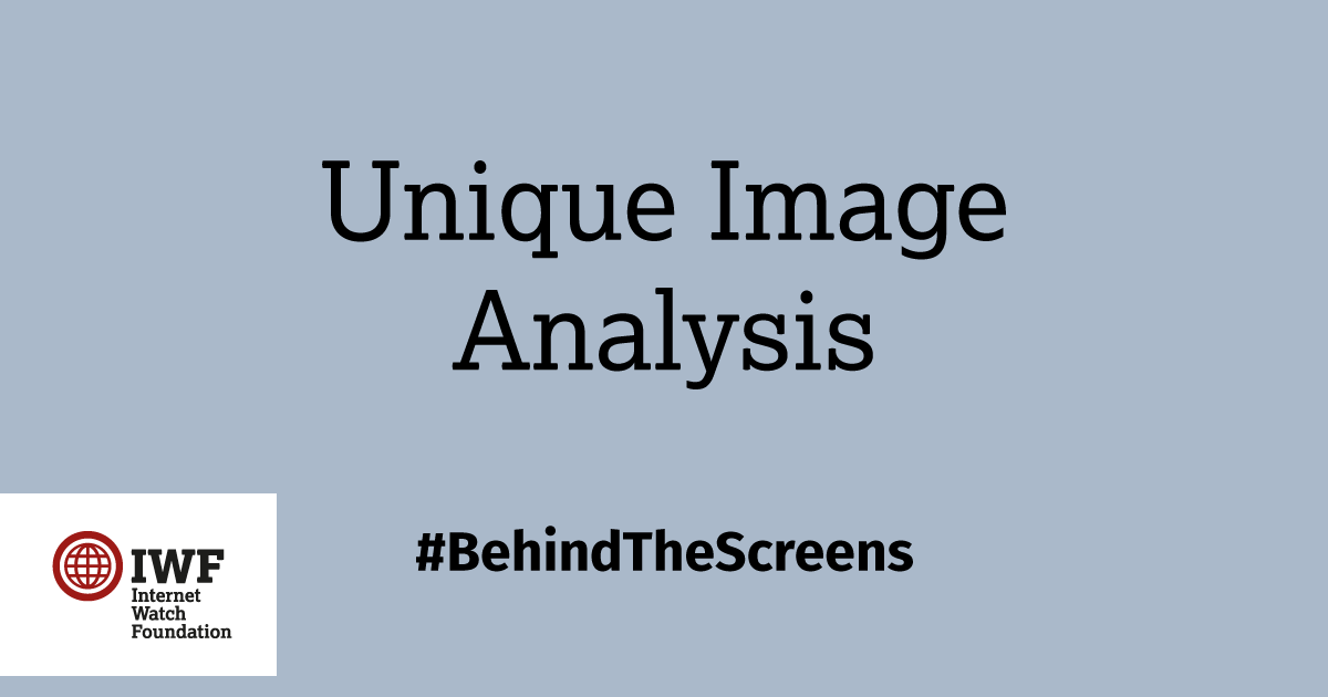 Unique Image Analysis | IWF 2023 Annual Report